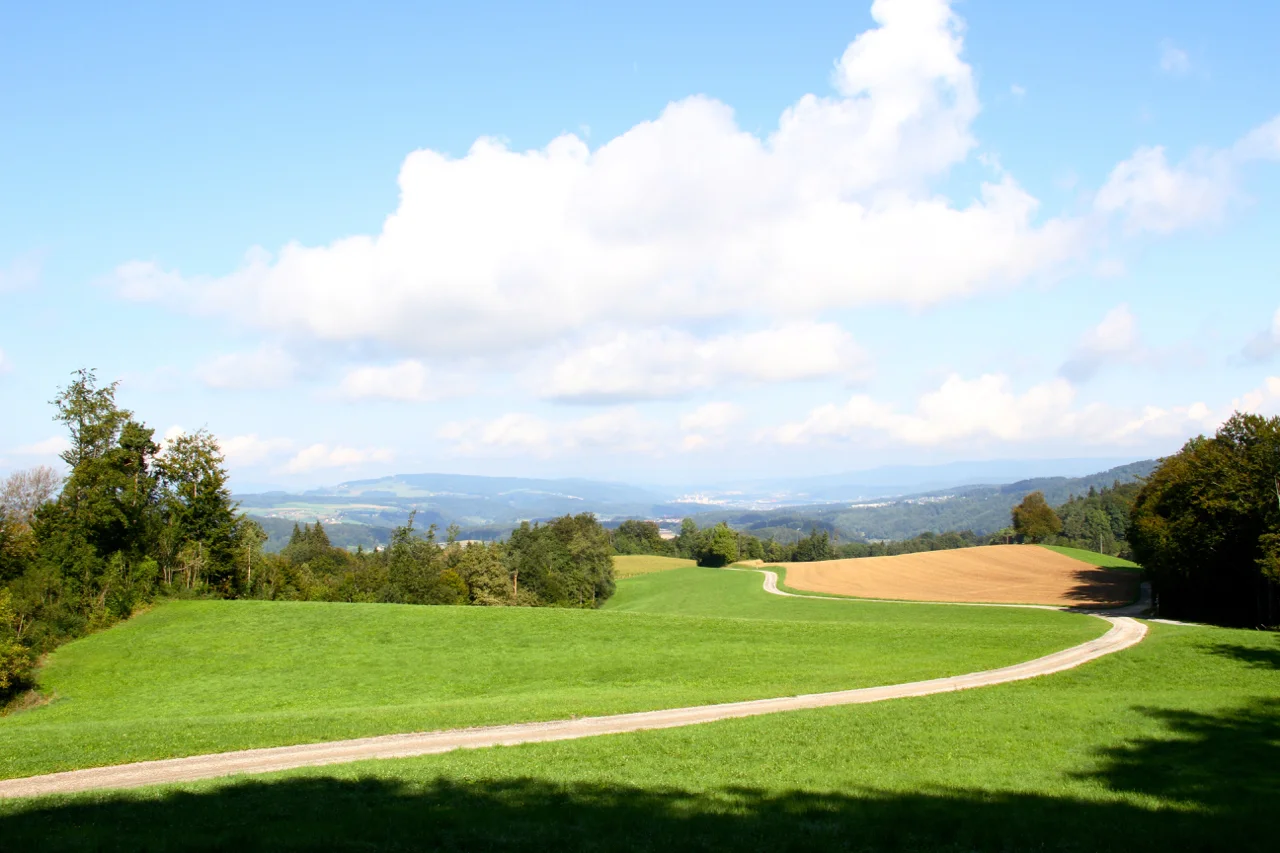 Felsenegg-Uetliberg: My First Hike in Switzerland — living minnaly